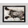 Bright Star Cat Nap - Single Picture Frame Art Prints | Wayfair.co.uk
