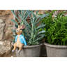 Jardinopia Beatrix Potter Peter Rabbit Sitting on Pot Pot Buddy Pot ...