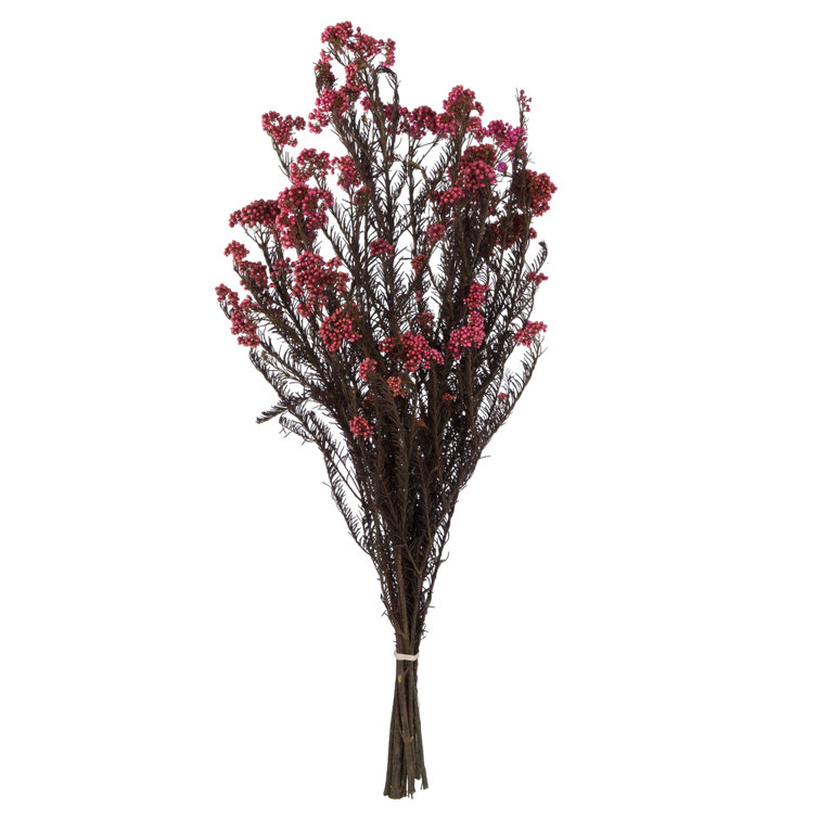 Vickerman Preserved Rice Flower Arrangement | Wayfair