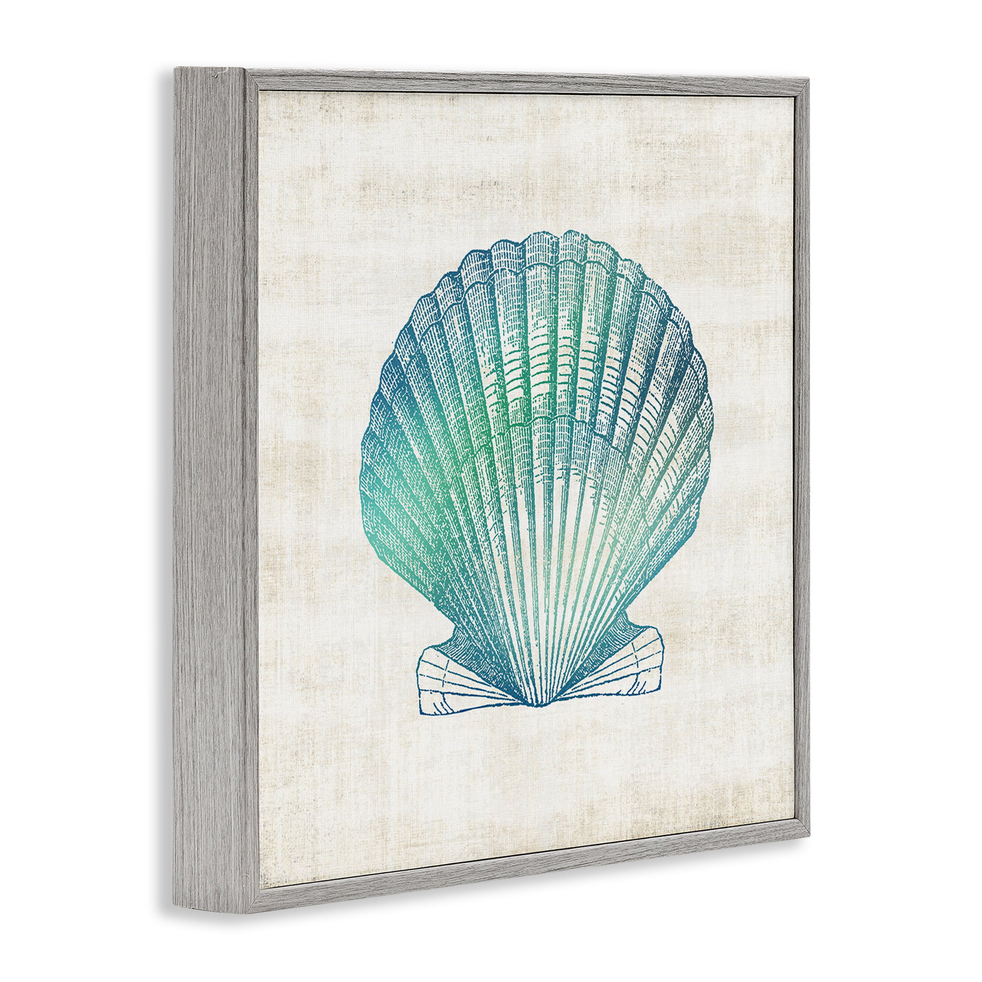 Highland Dunes Gradient Clam Seashell Framed Giclee, design by Susan ...
