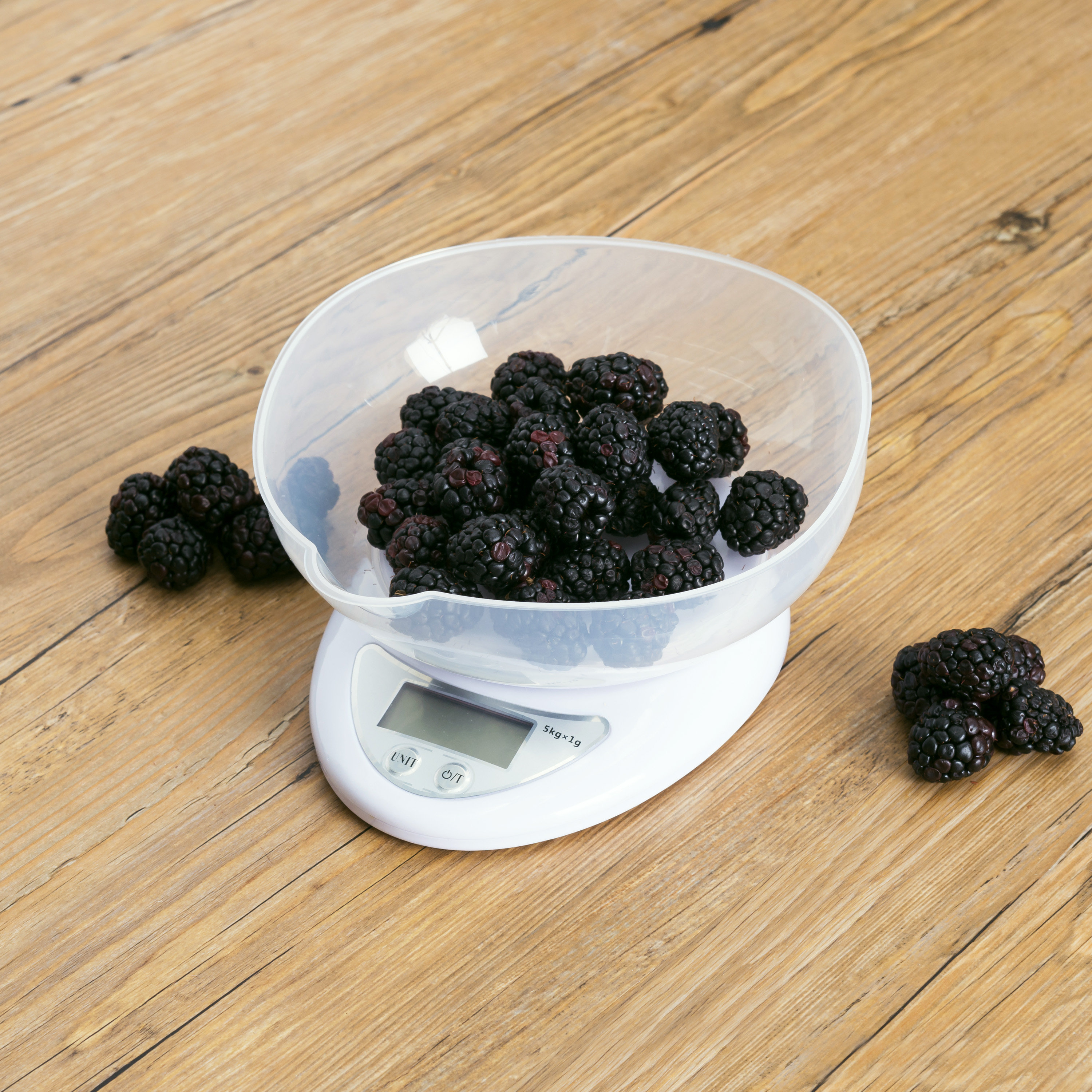 Symple Stuff Gerold Digital Kitchen Scale & Reviews | Wayfair