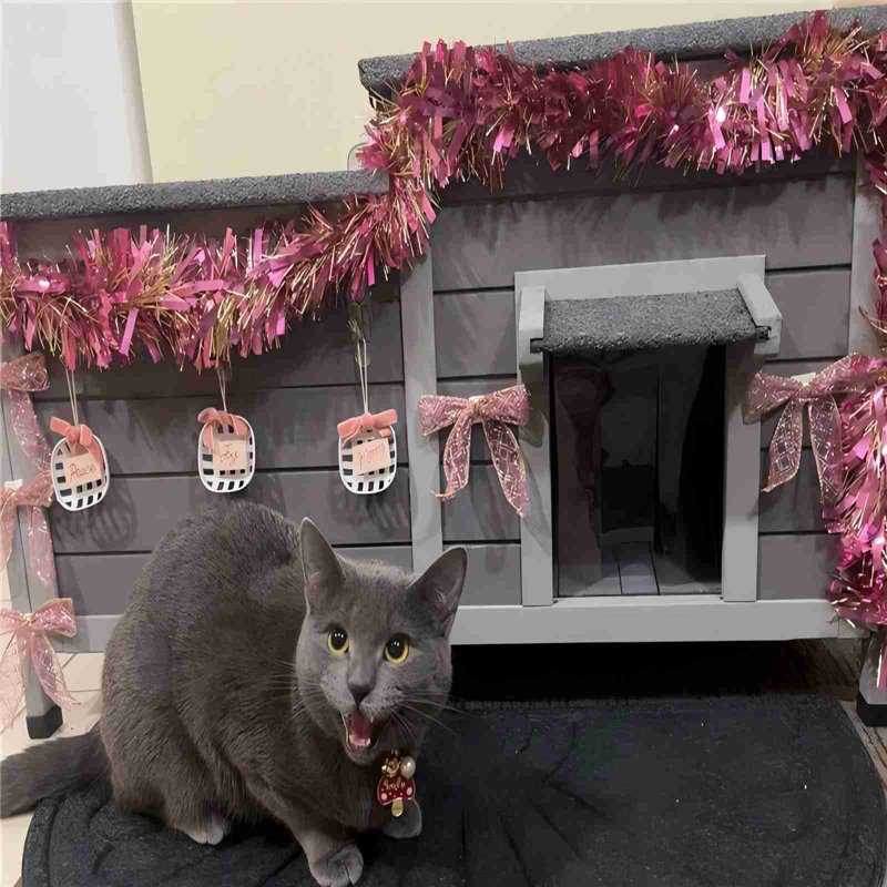 Tucker Murphy Pet™ Cat house Cat house & Reviews | Wayfair