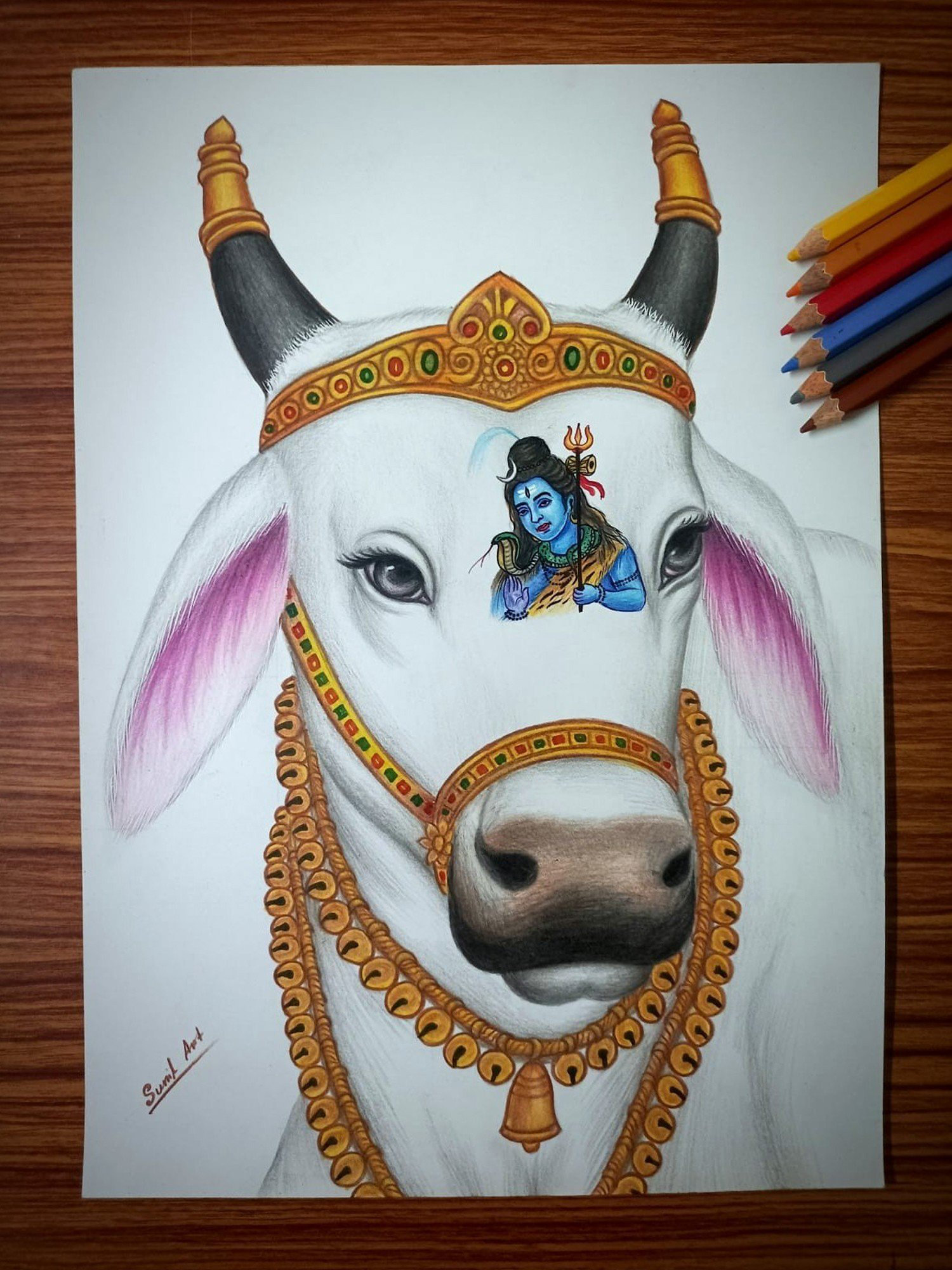 Bungalow Rose Nandi - A Devotee Of Shiva | Color Pencil Art By Sunil ...
