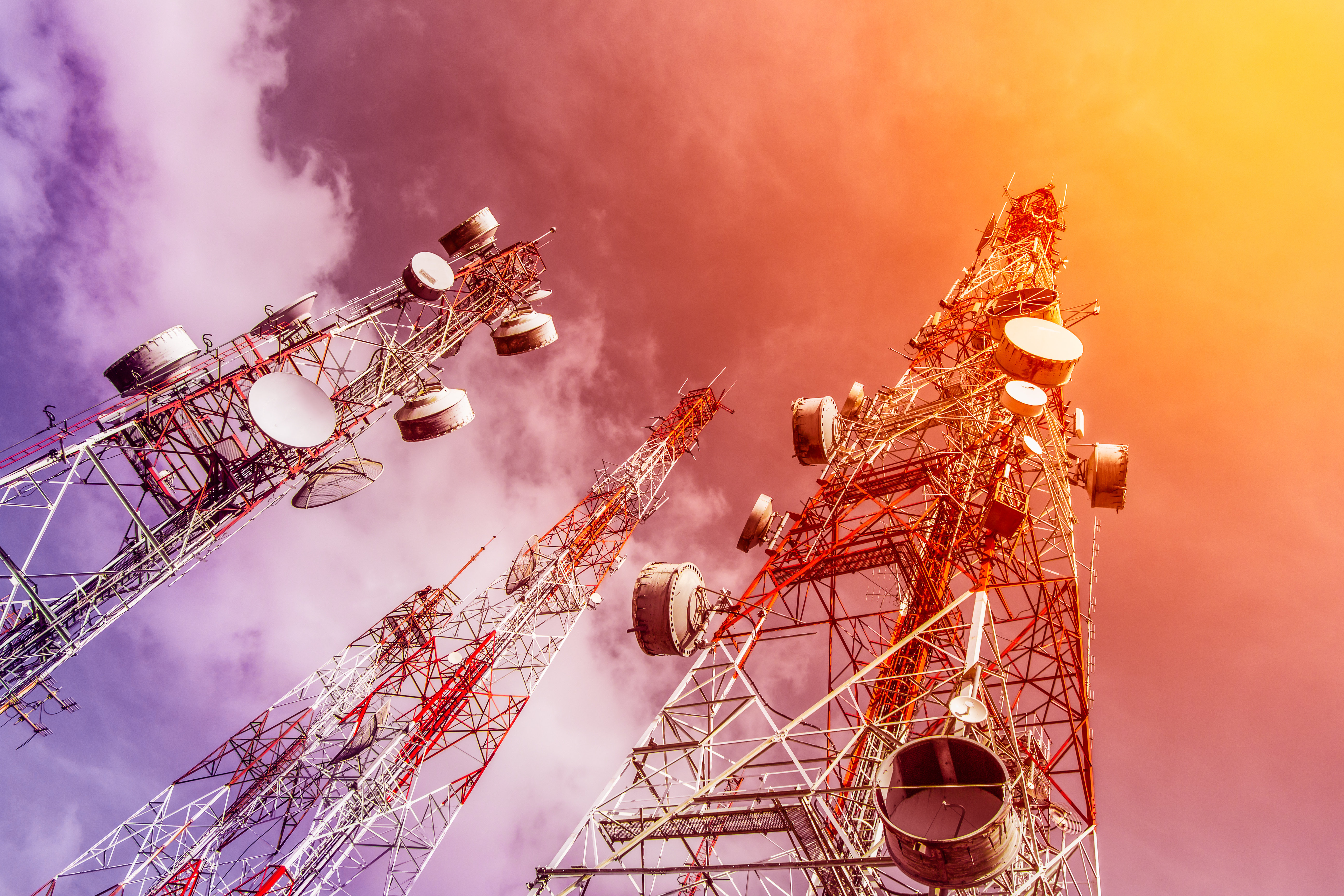 Hokku Designs Chontae Antennas On Canvas Photograph | Wayfair