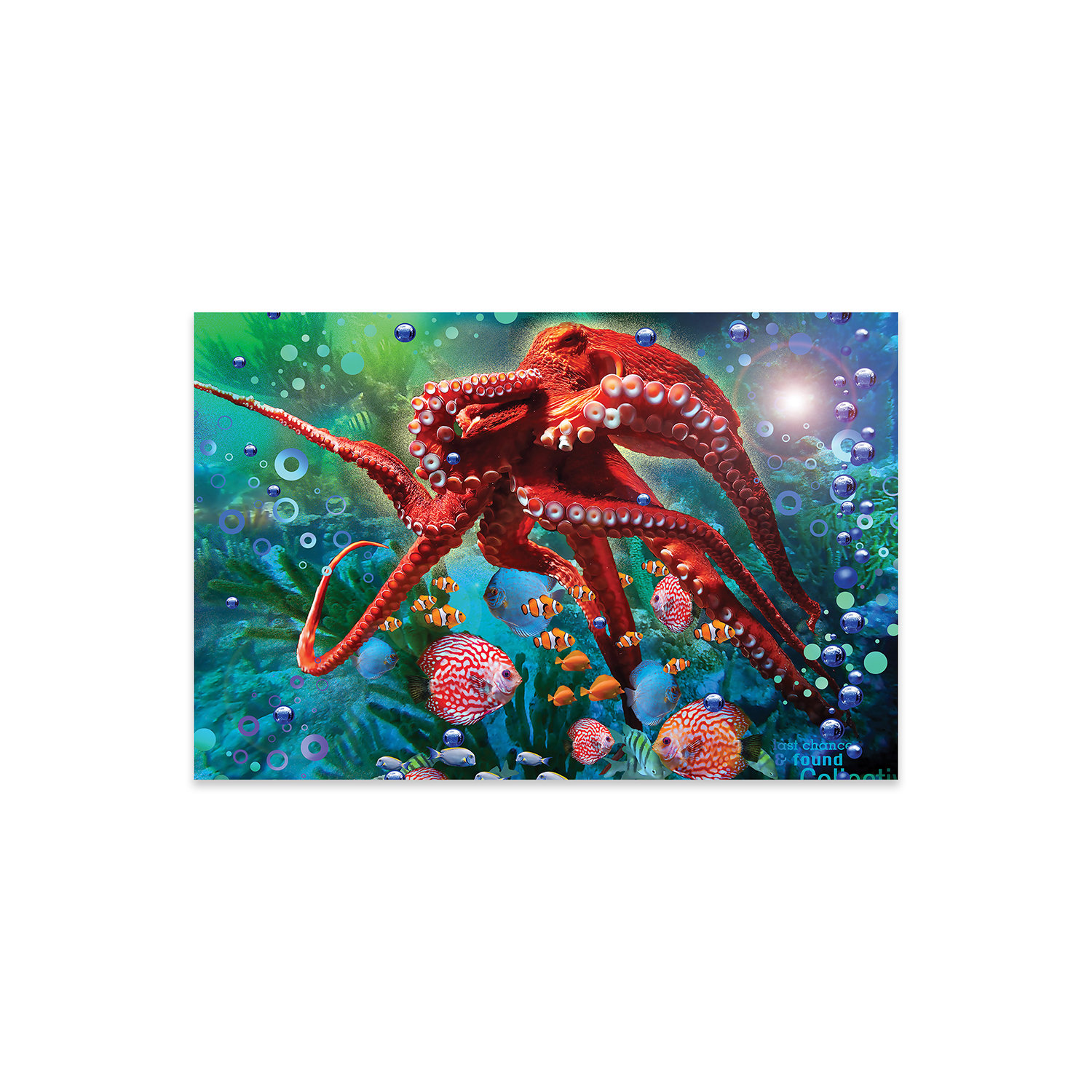 Dovecove Red Octopus On Plastic / Acrylic by David Loblaw Print | Wayfair