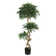 The Seasonal Aisle 155cm Faux Acacia Tree | Wayfair.co.uk