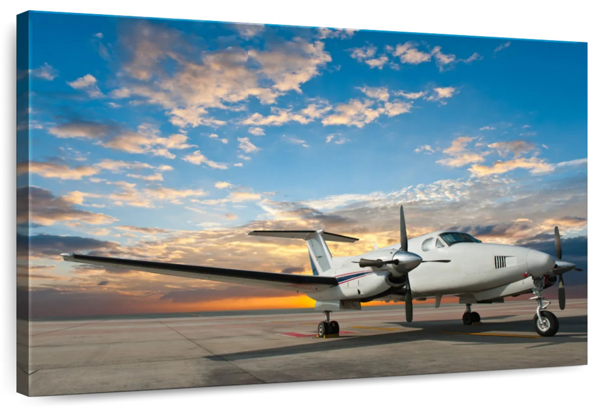 Elephant Stock Light Aircraft - Wayfair Canada
