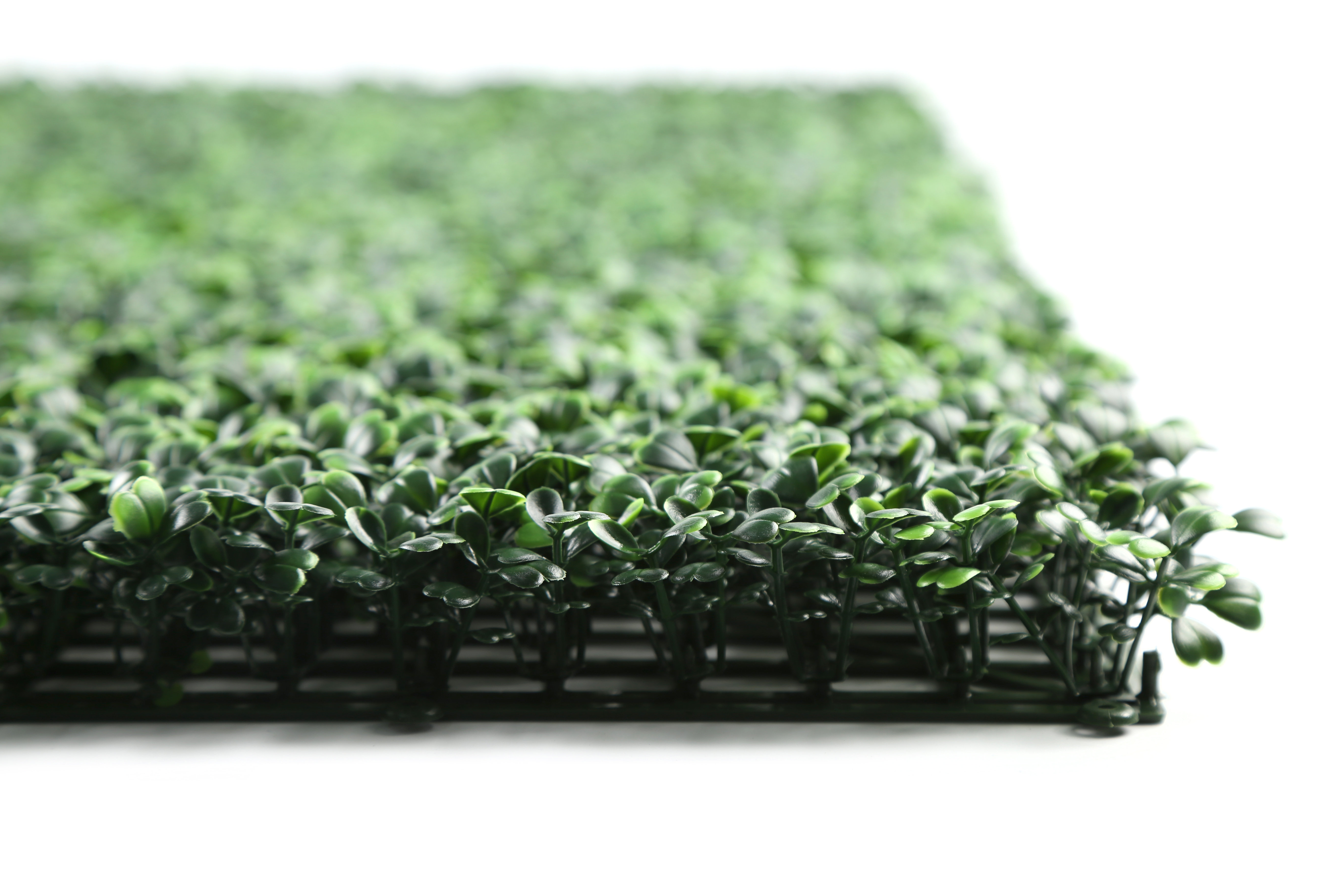 Primrue Dichiera 40" x 40" Faux Boxwood Hedge Roll Indoor/Outdoor ...