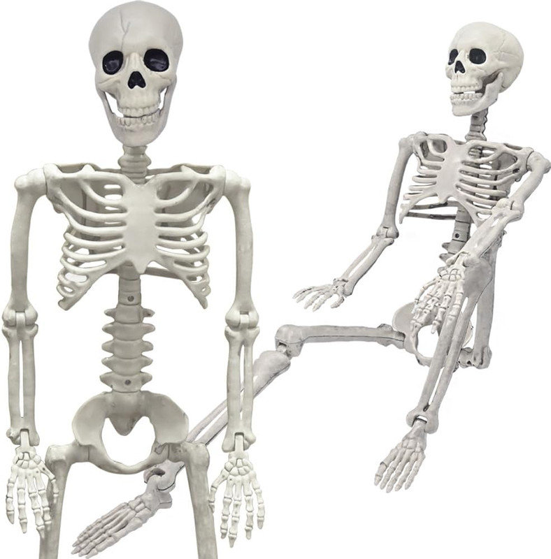 Dakota Fields 36" Skeleton Halloween Decorations, 3FT Realistic Full ...
