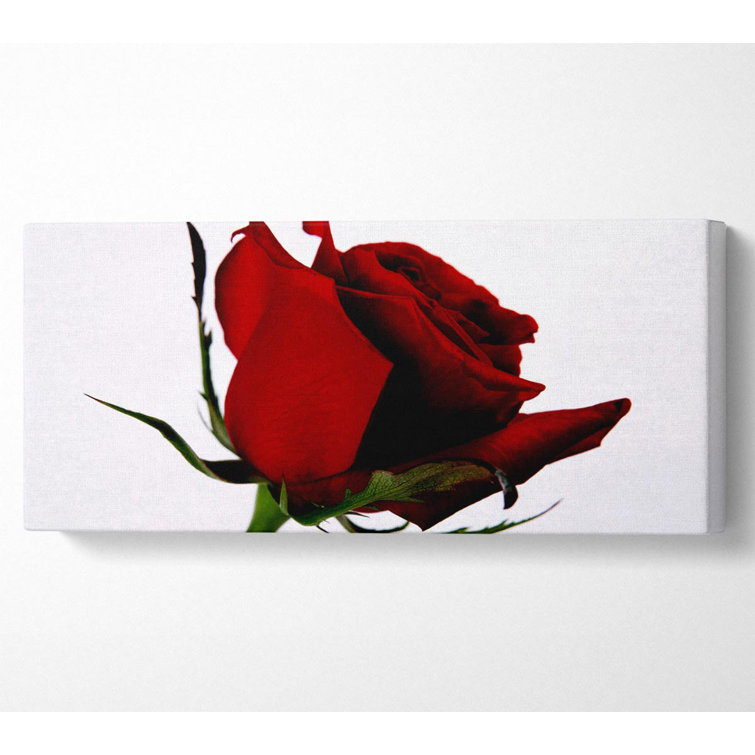 Ebern Designs Single Red Rose - Wrapped Canvas Panoramic Art Prints ...