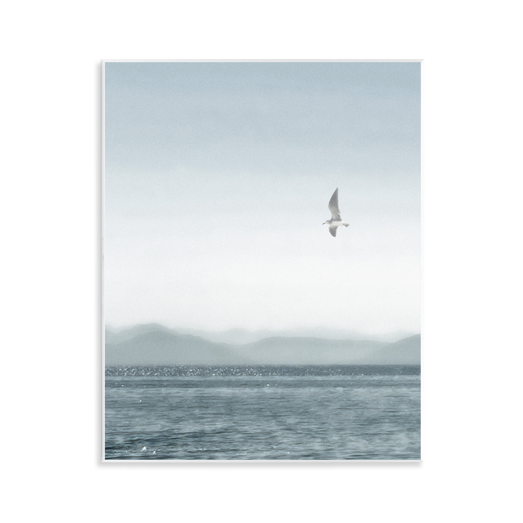 Breakwater Bay Lone Gull over Sea Wall Plaque Art by Noah Bay | Wayfair