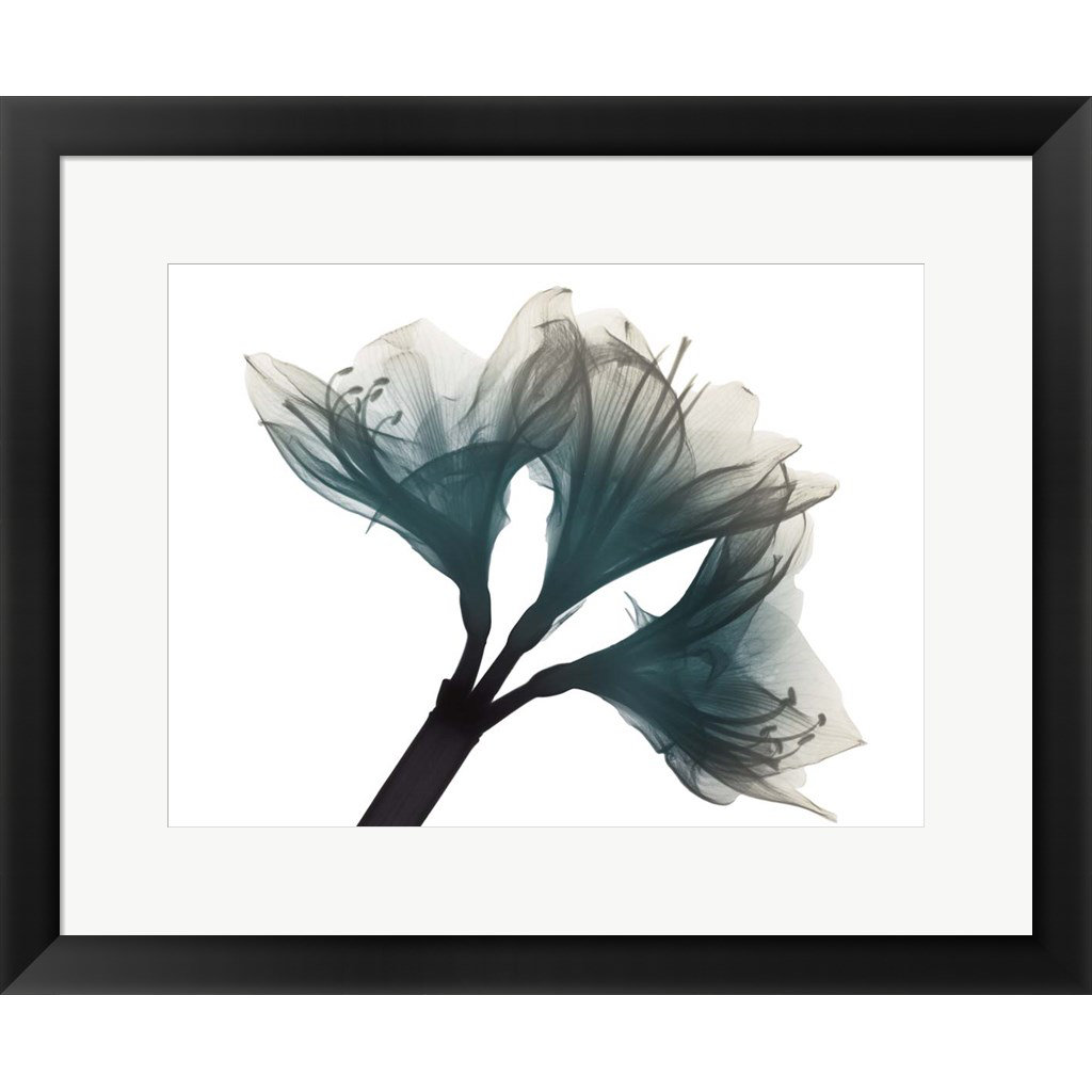 Bay Isle Home™ Urban Twins by Albert Koetsier - Picture Frame Graphic ...