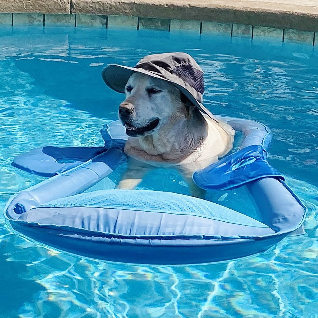 OLHAV 68"L x 35"W Inflatable Pool Floats Adult with Fast Inflation ...