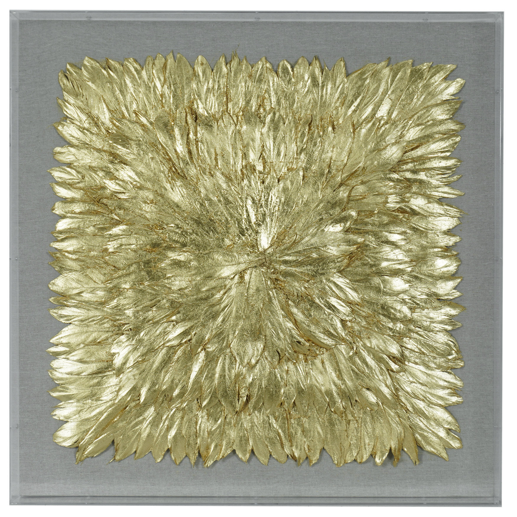Dakota Fields Feather Radiance Shadow Box Wall Décor | Wayfair