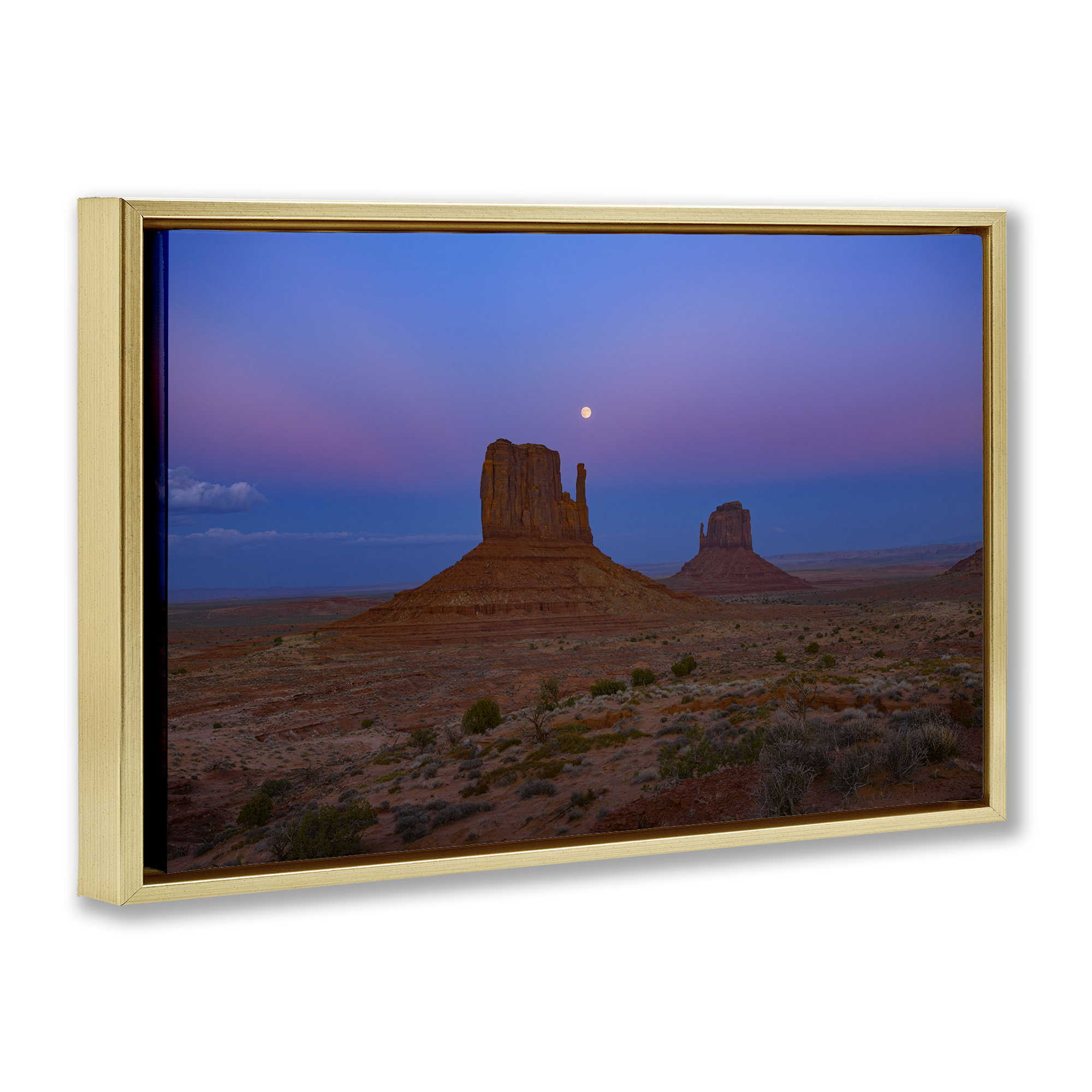 Union Rustic Moon over Canyon Mesa Floater Canvas by Marty Hulsebos ...