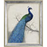 Fleur De Lis Living 'Peacock I' Framed Graphic Art Print on Wood ...