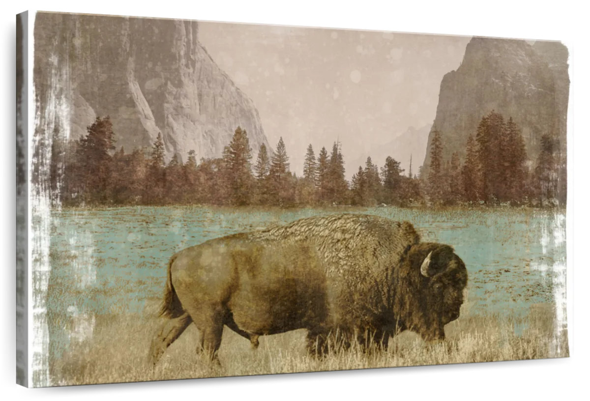 Ebern Designs Bison In The Park | Wayfair