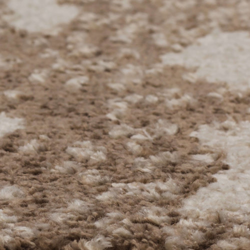 Animal Print Runner Area Rugs You'll Love | Wayfair