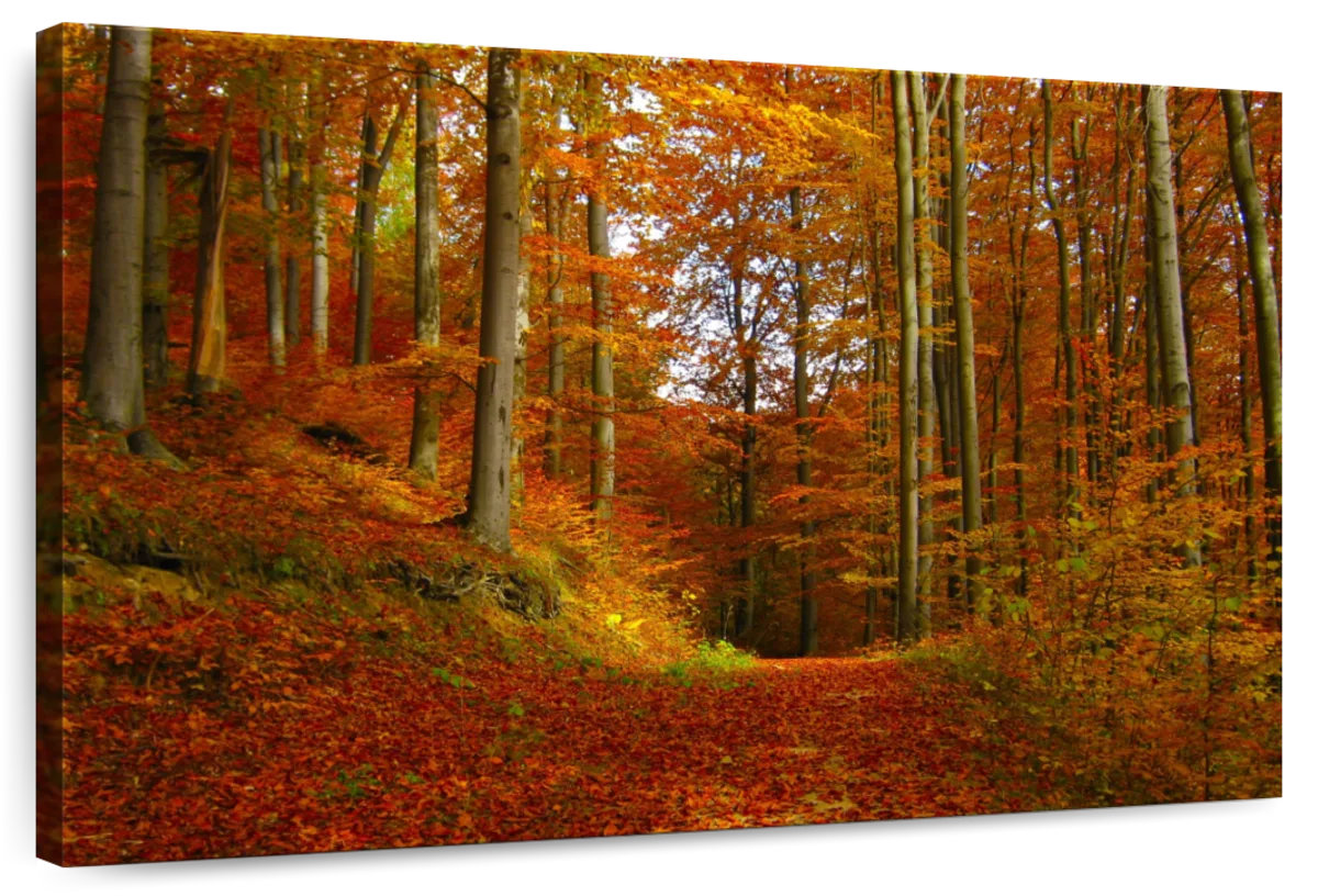 Millwood Pines Alvord Enchanted Fall Landscape | Wayfair