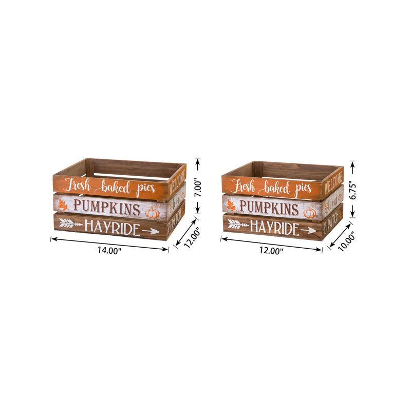 The Holiday Aisle® Wood Pumpkin 2 Piece Solid Wood Crate Set & Reviews ...