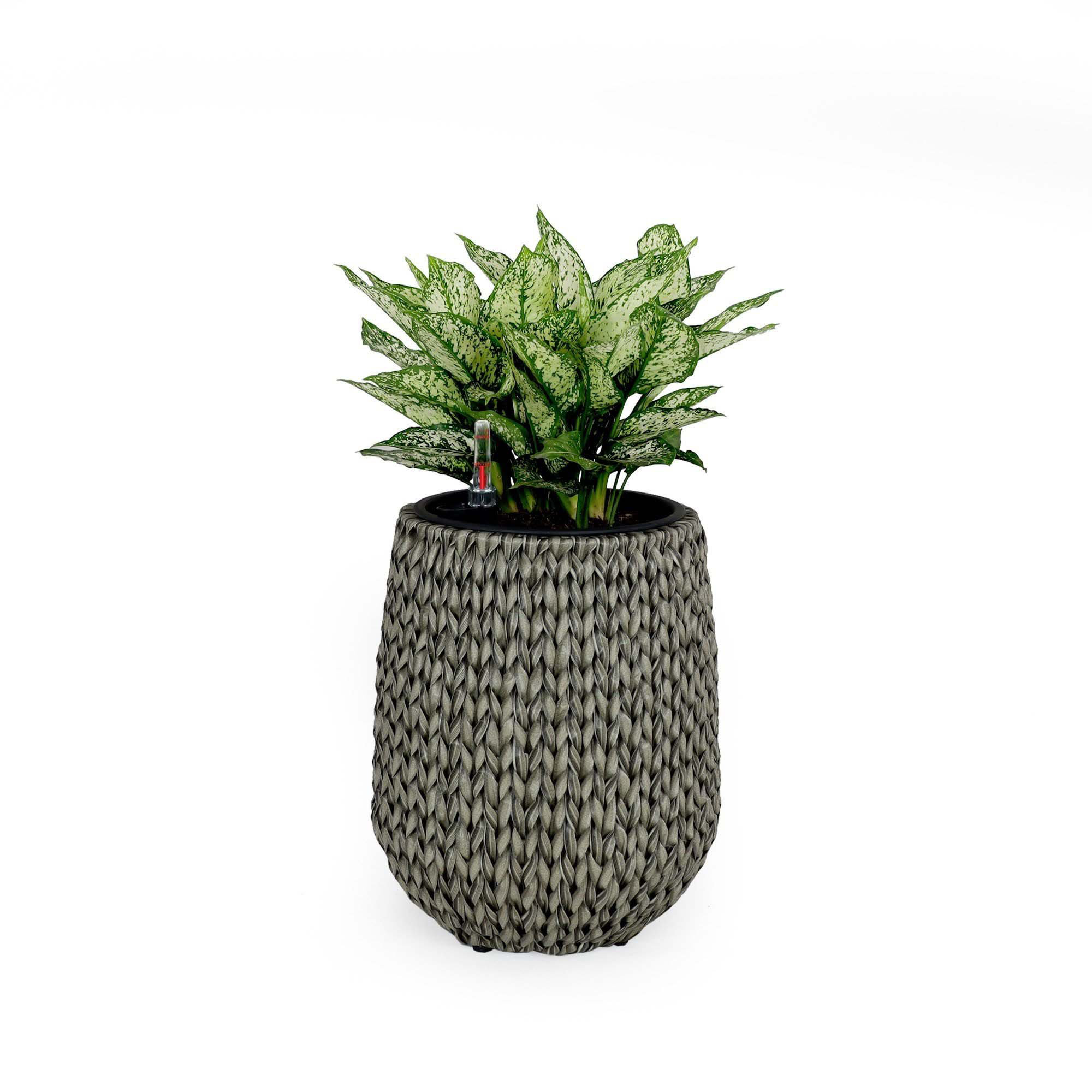 Dakota Fields Exquisite Self-Watering Wicker Planter for Garden ...