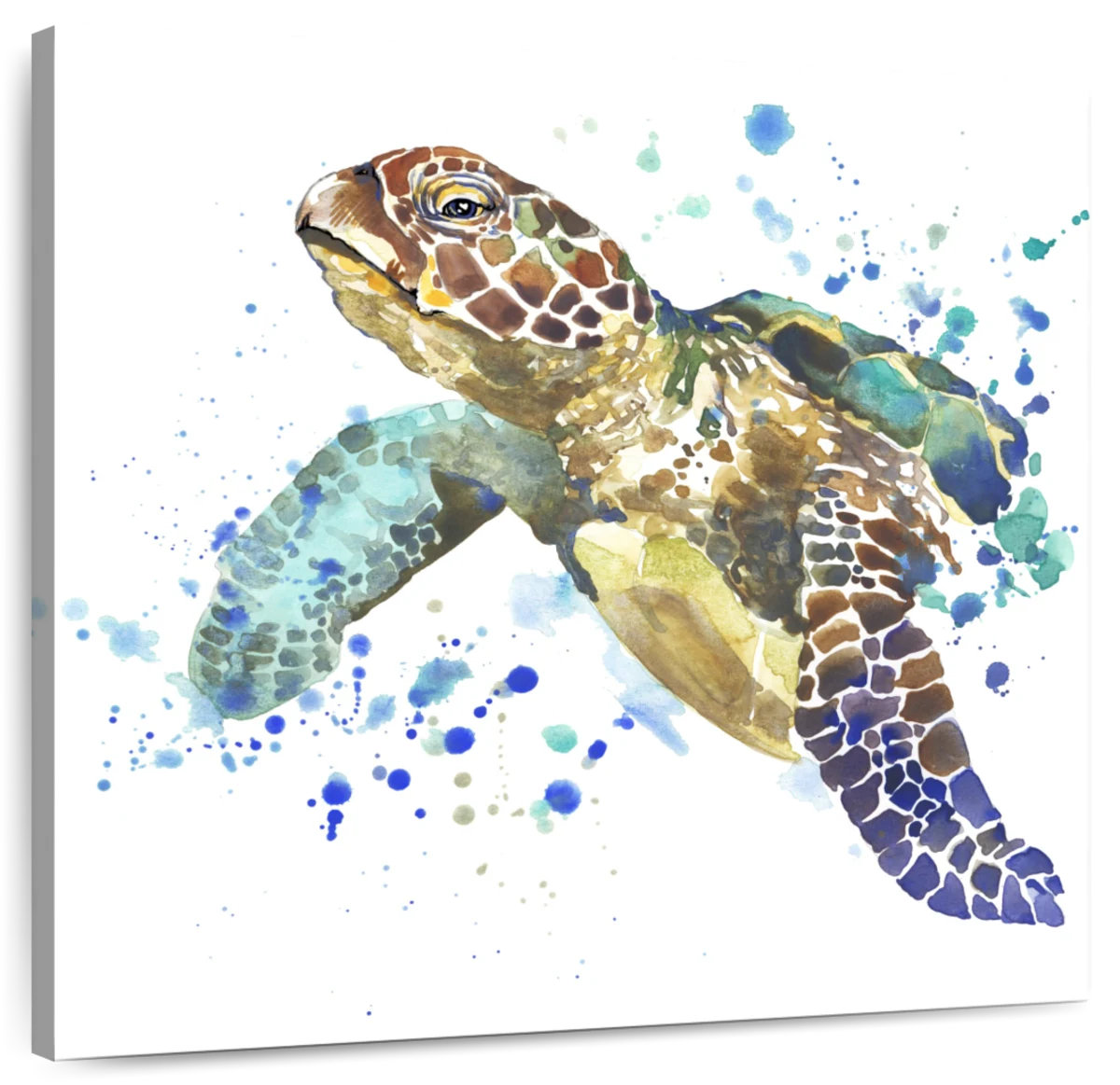 Ebern Designs Brampt Sea Turtle Watercolor Splash - Wayfair Canada
