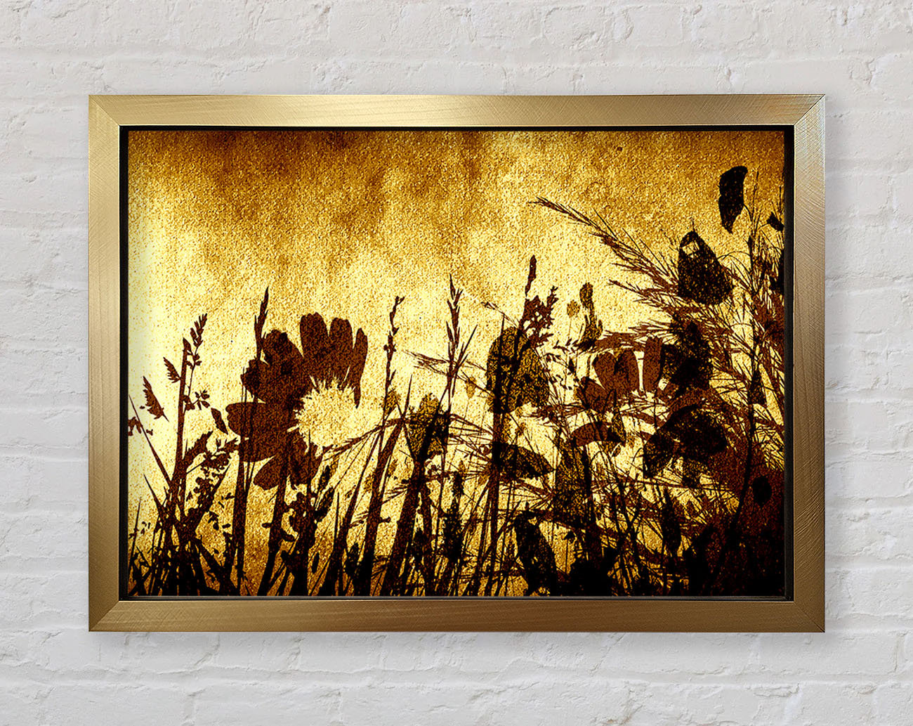Rosalind Wheeler Golden Light Flower Framed Print | Wayfair.co.uk
