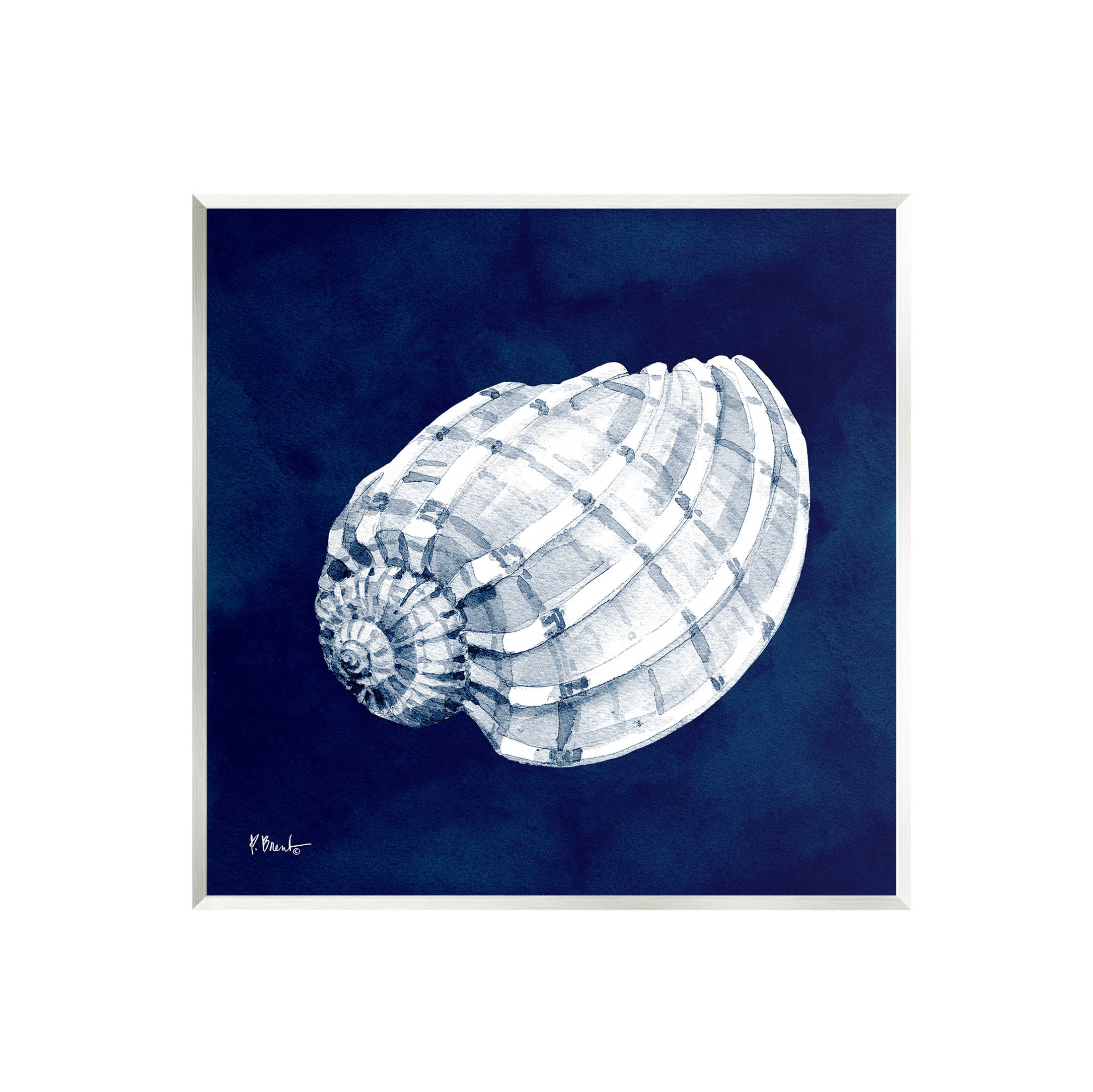 Stupell Industries Cyanotype Shells Coastal Illustration Wall Plaque ...