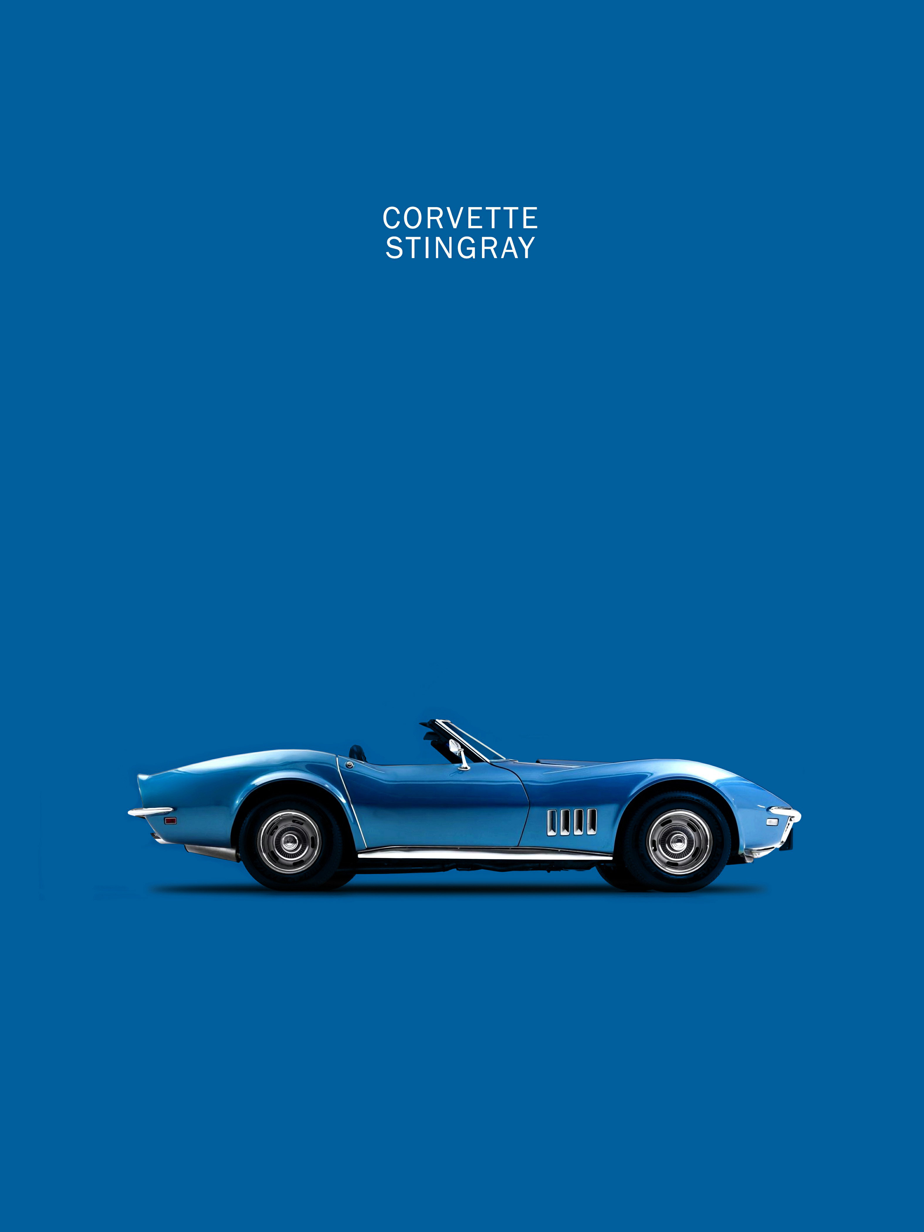 Ebern Designs Corvette Stingray Blue - Wayfair Canada