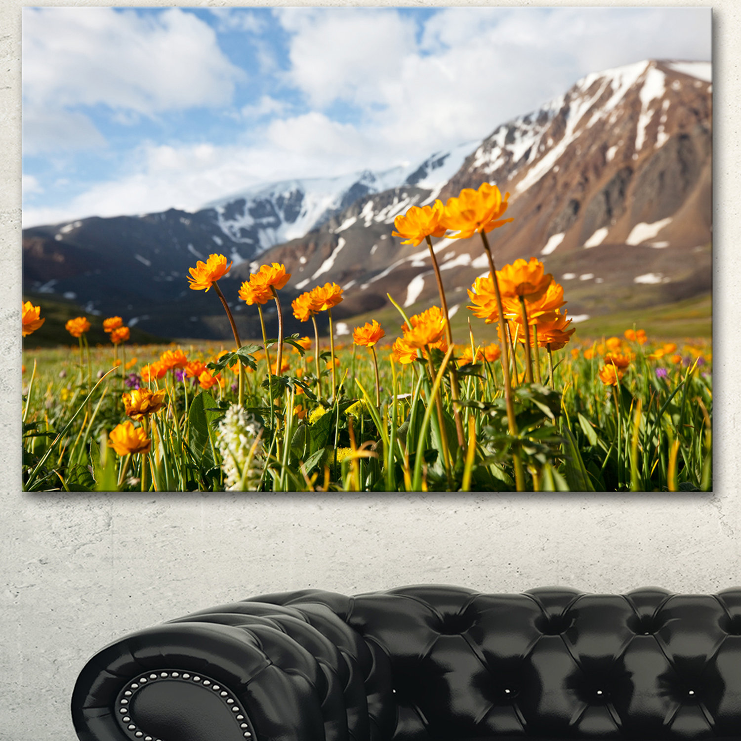 Design Art 'Mountain Meadow with Yellow Flowers' Photographic Print on ...