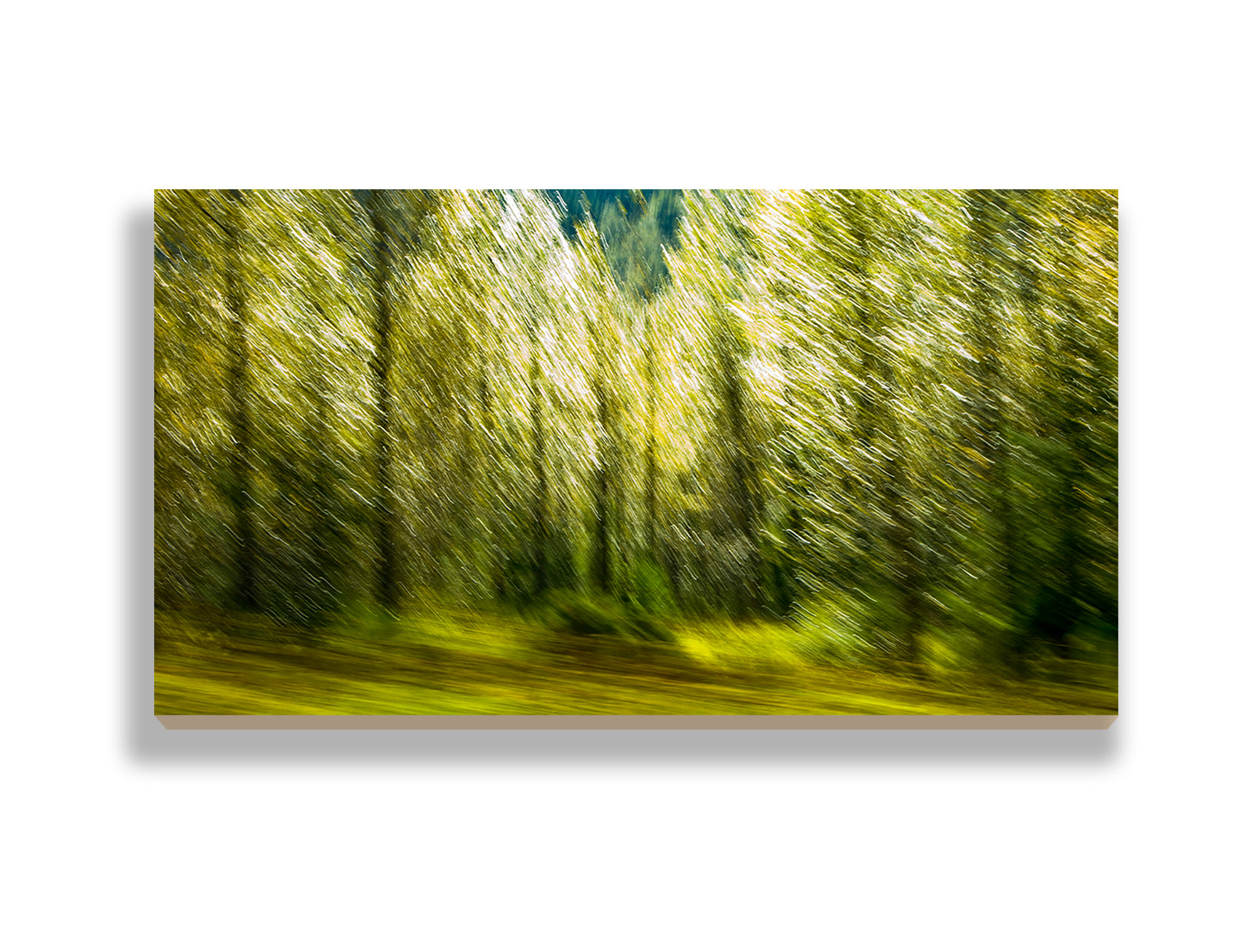 Four Hands Art Studio Blurred Trees I by Geoffrey Baris - Print on Wood ...