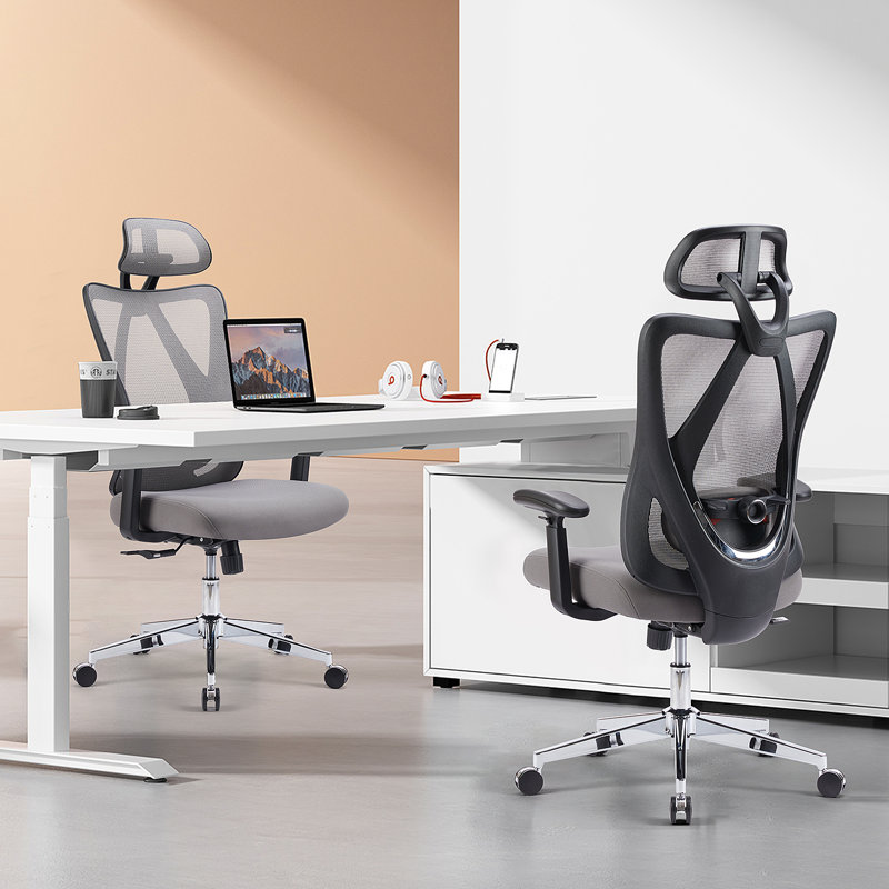 Inbox Zero Lajace High Back Mesh Ergonomic Office Task Chair with ...