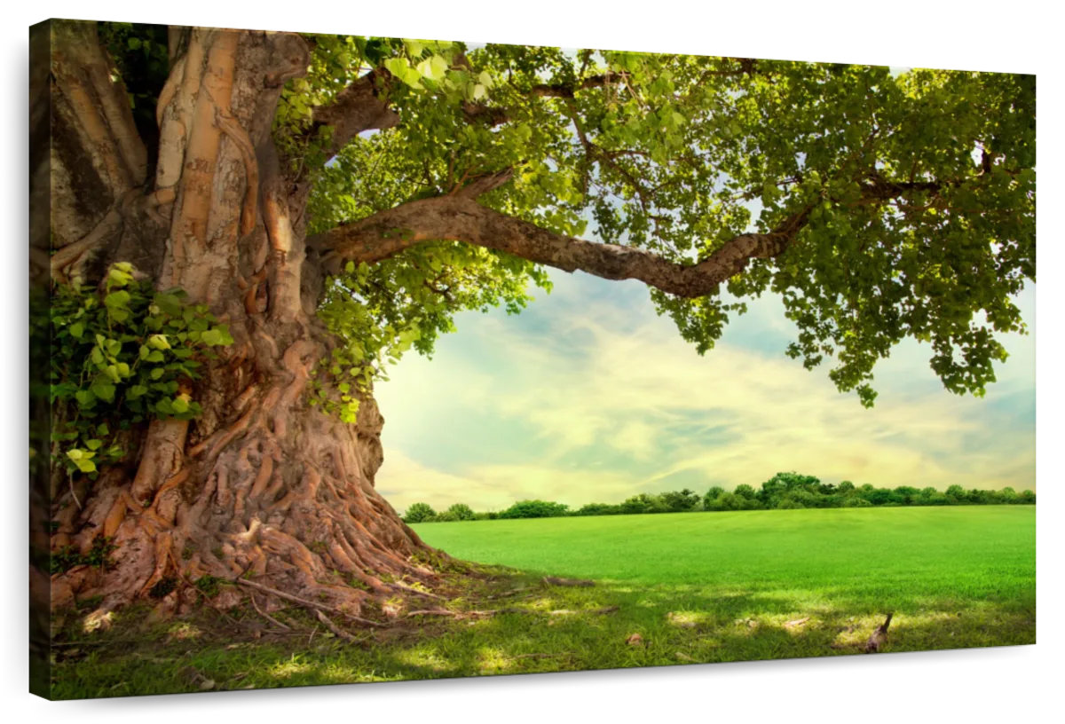 Lark Manor™ Harnek Robust Green Tree | Wayfair