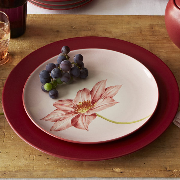 Noritake Colorwave Rim Dinner Plates, 11" & Reviews | Wayfair