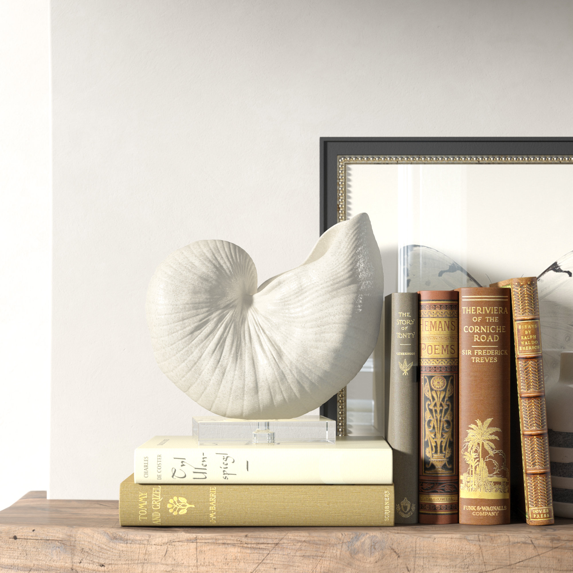 Birch Lane™ Lakefield Shell Sculpture & Reviews | Birch Lane