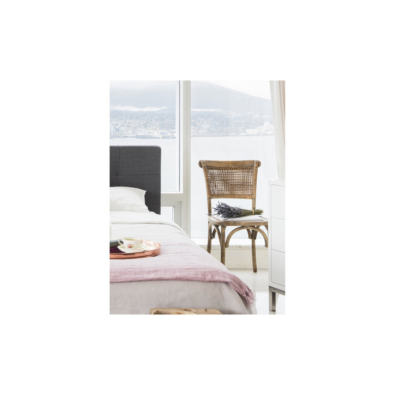 Birch Lane™ Dain Cane Side Chair & Reviews | Wayfair