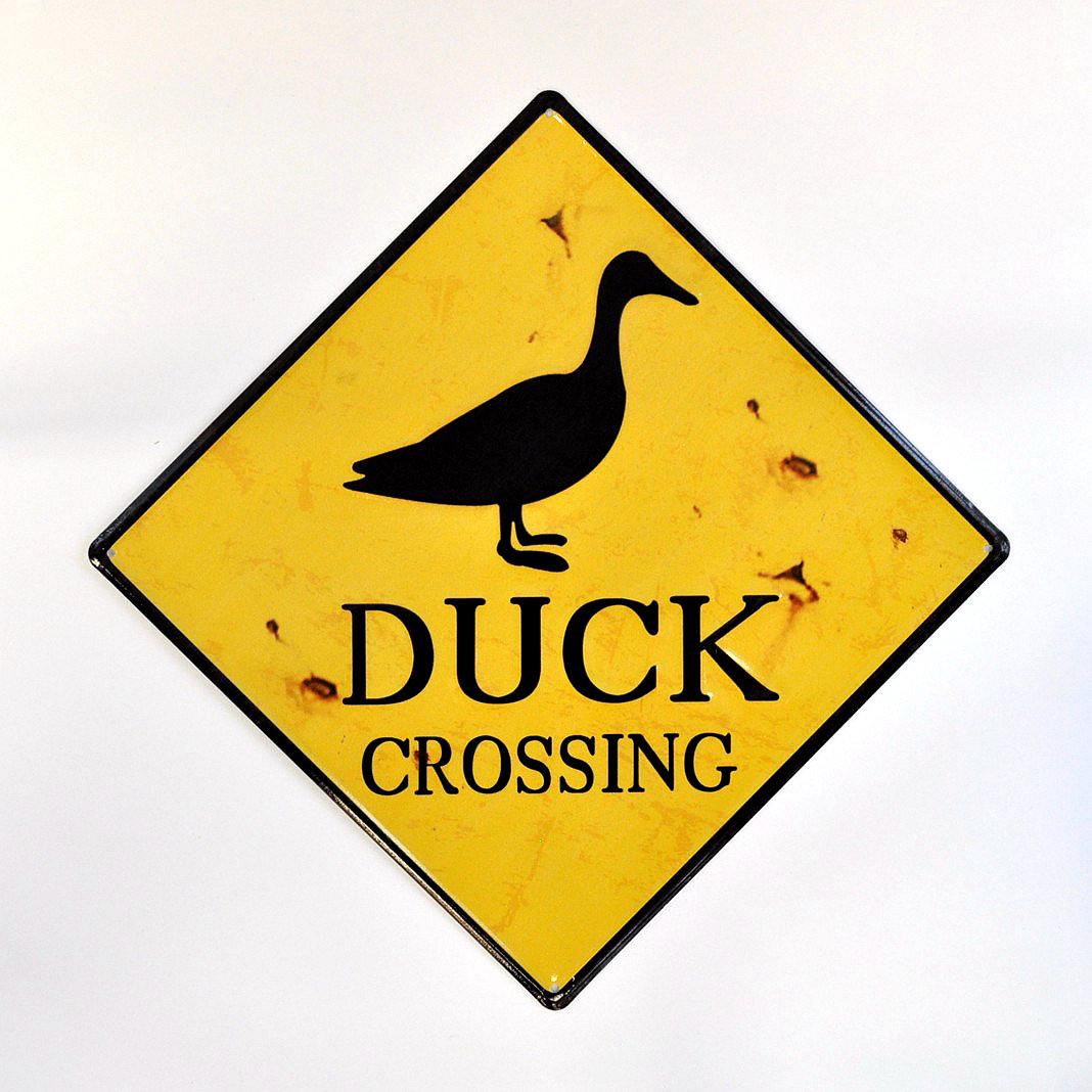 Trinx "Duck Crossing" Sign - Wayfair Canada