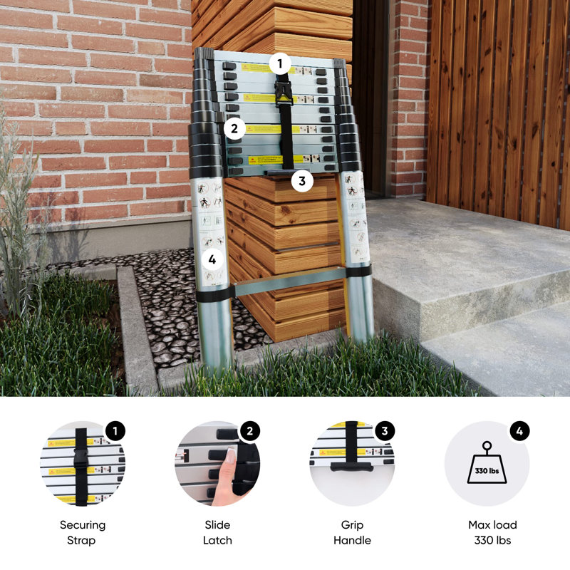 WFX Utility™ Aluminum Lightweight Extension Ladder | Wayfair