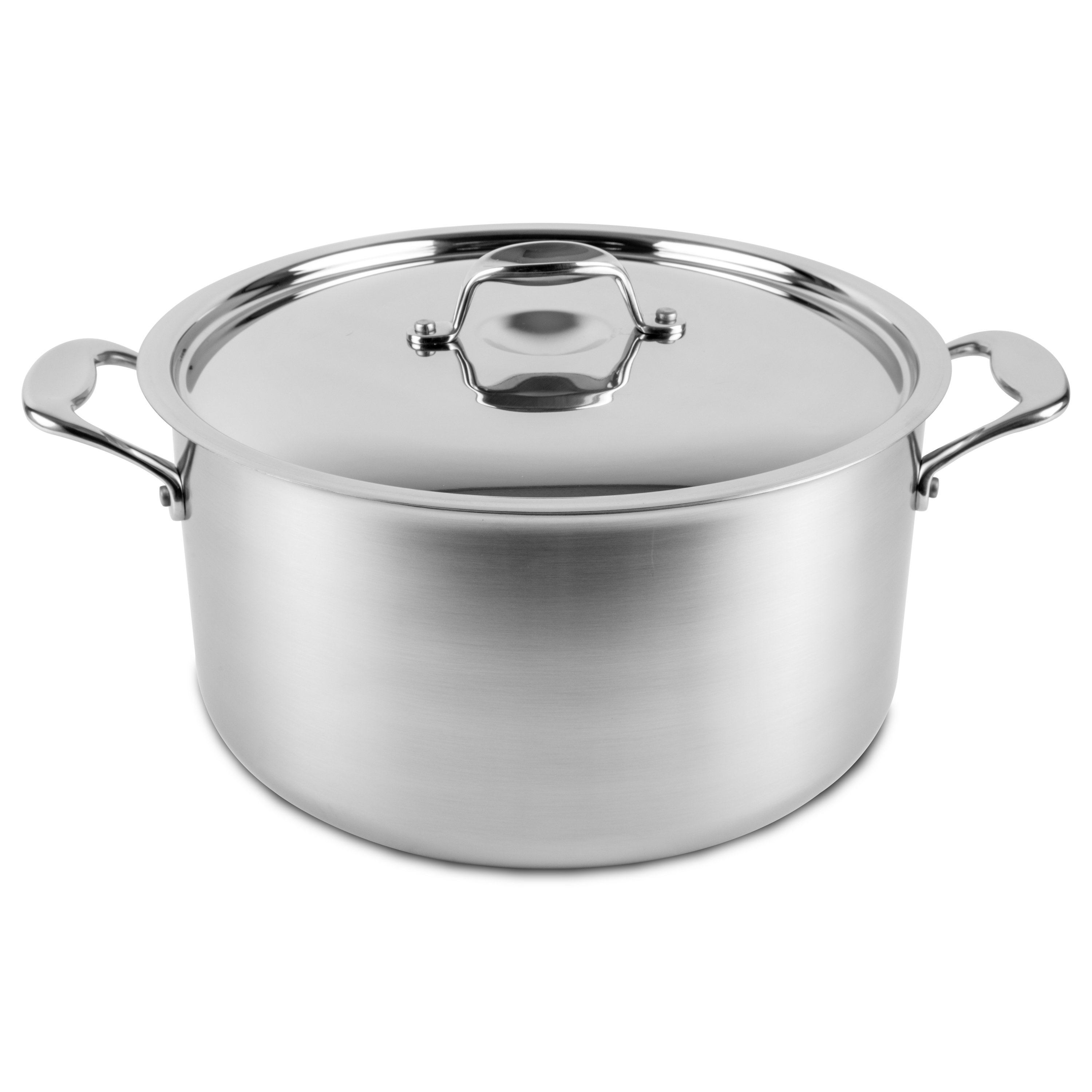 NUCU 9.5 qt. Stainless Steel Stock Pot with Lid | Wayfair