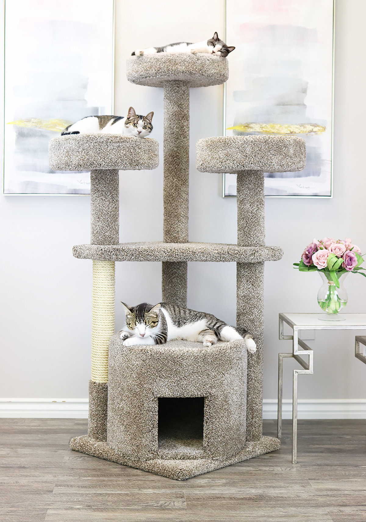 Prestige Cat Trees Maine Coon House Cat Condo & Reviews | Wayfair