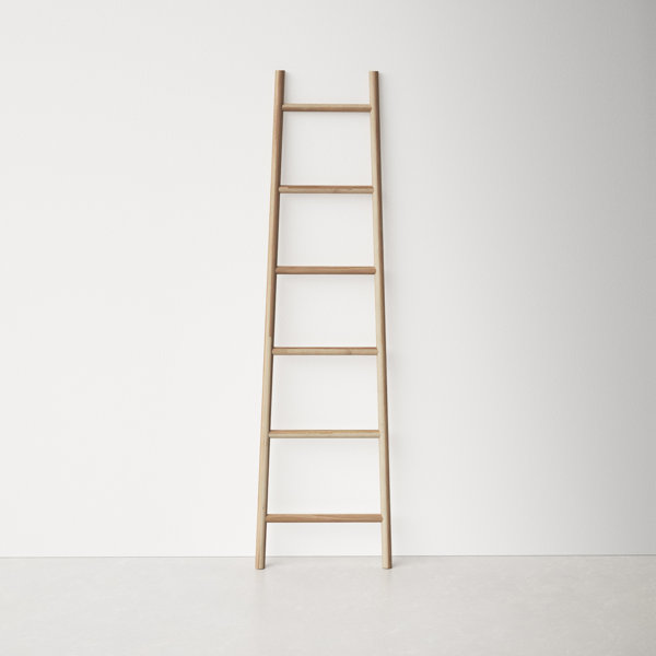 Modern & Contemporary Ladder | AllModern