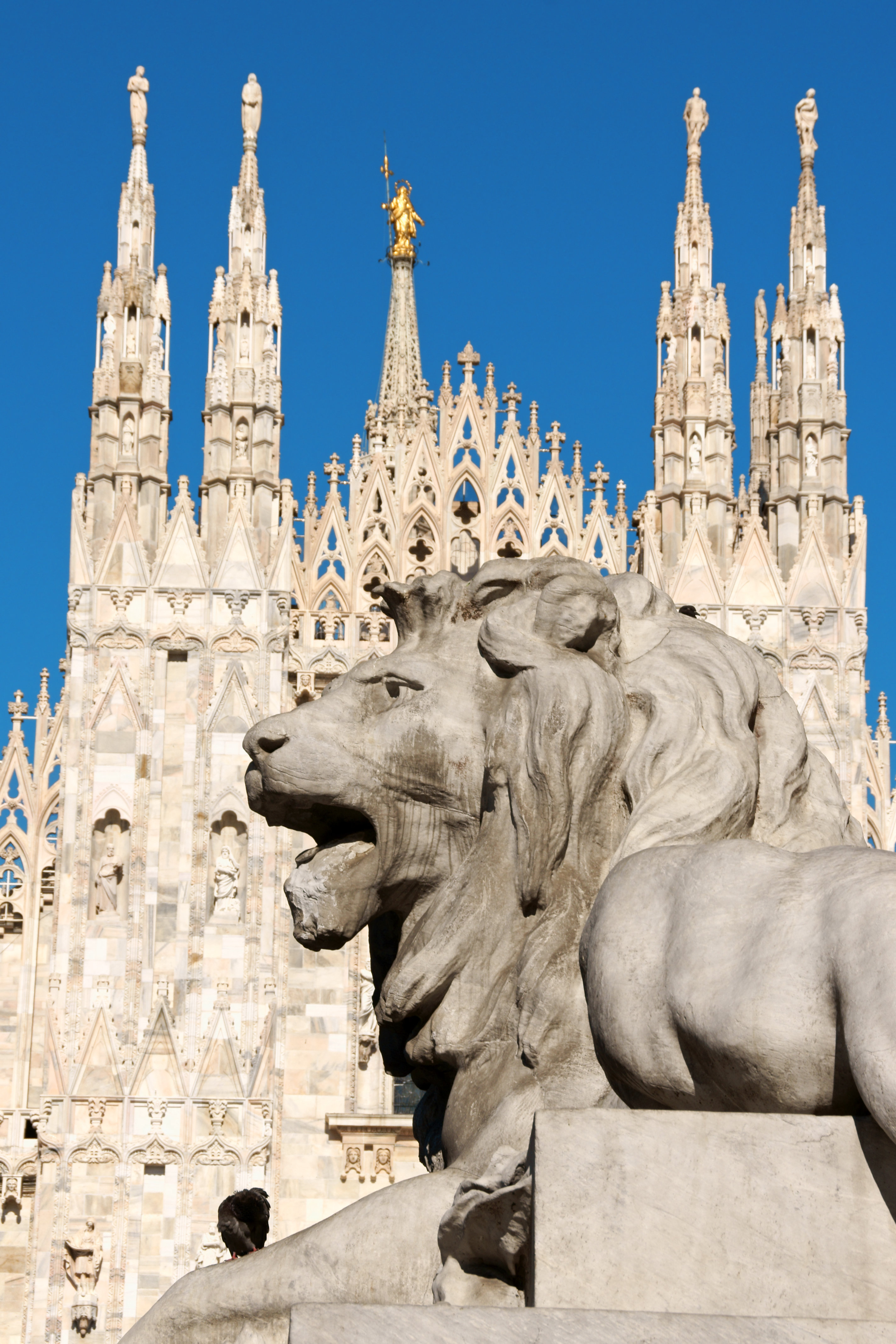 Hokku Designs Piazza Del Duomo - Wayfair Canada