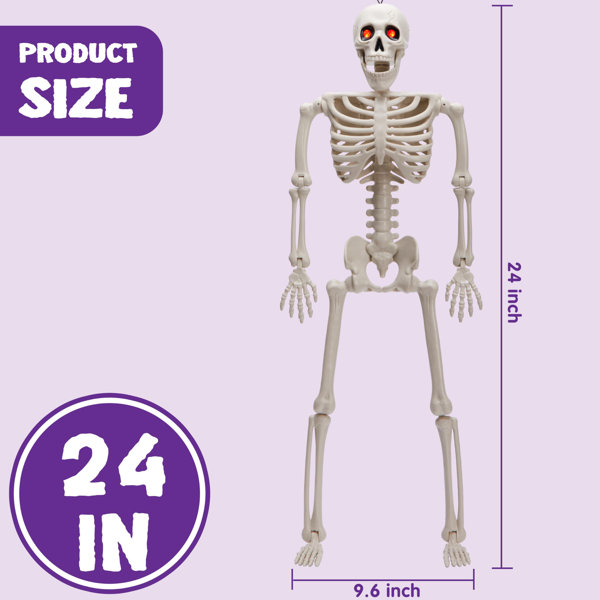 The Holiday Aisle® 24 inches Halloween Skeleton Full Body Human Plastic ...
