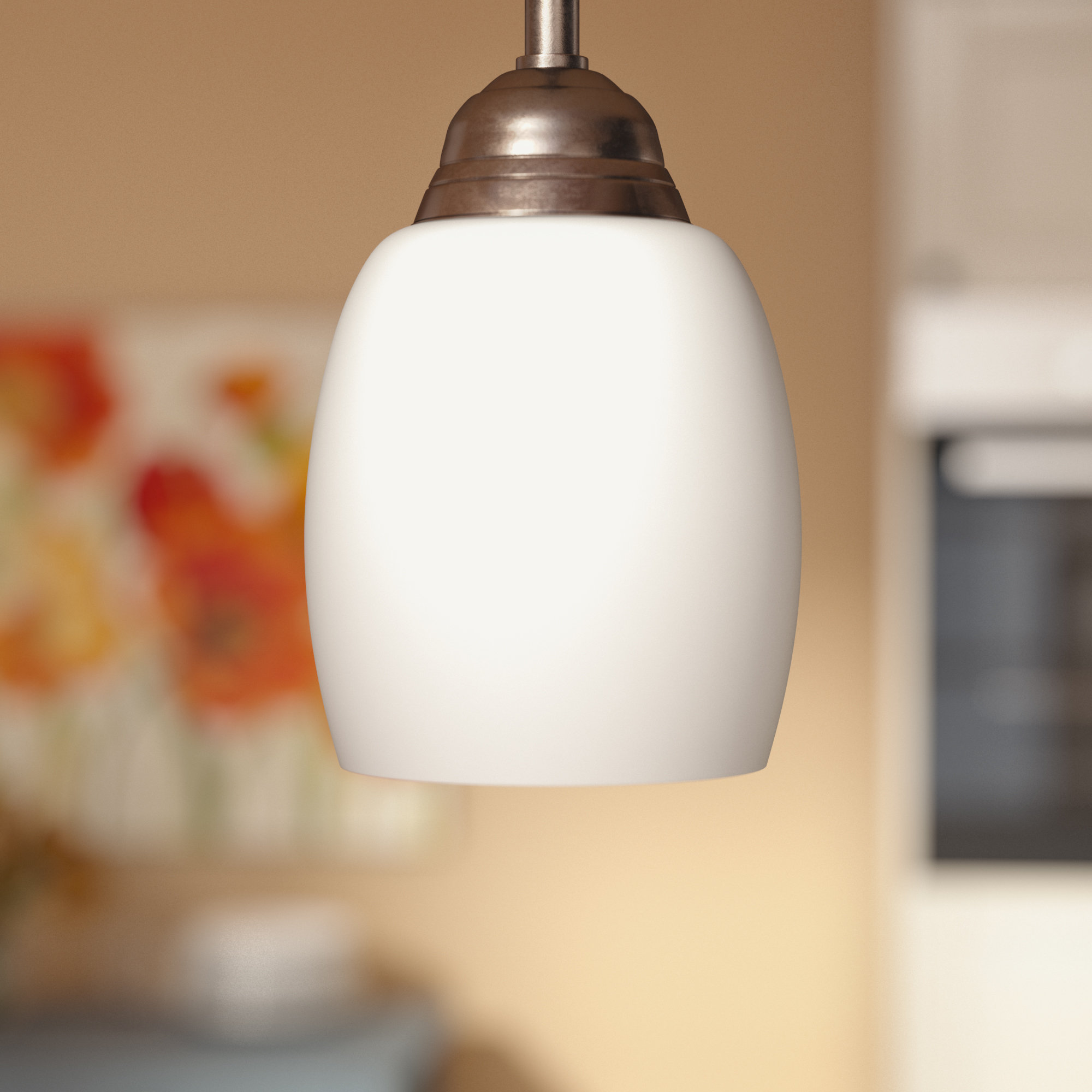 Charlton Home® 5.25" H Glass Oval Ceiling fan fitter shade ( Screw on ...