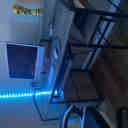 Trent Austin Design® Ralphio Desk & Reviews | Wayfair