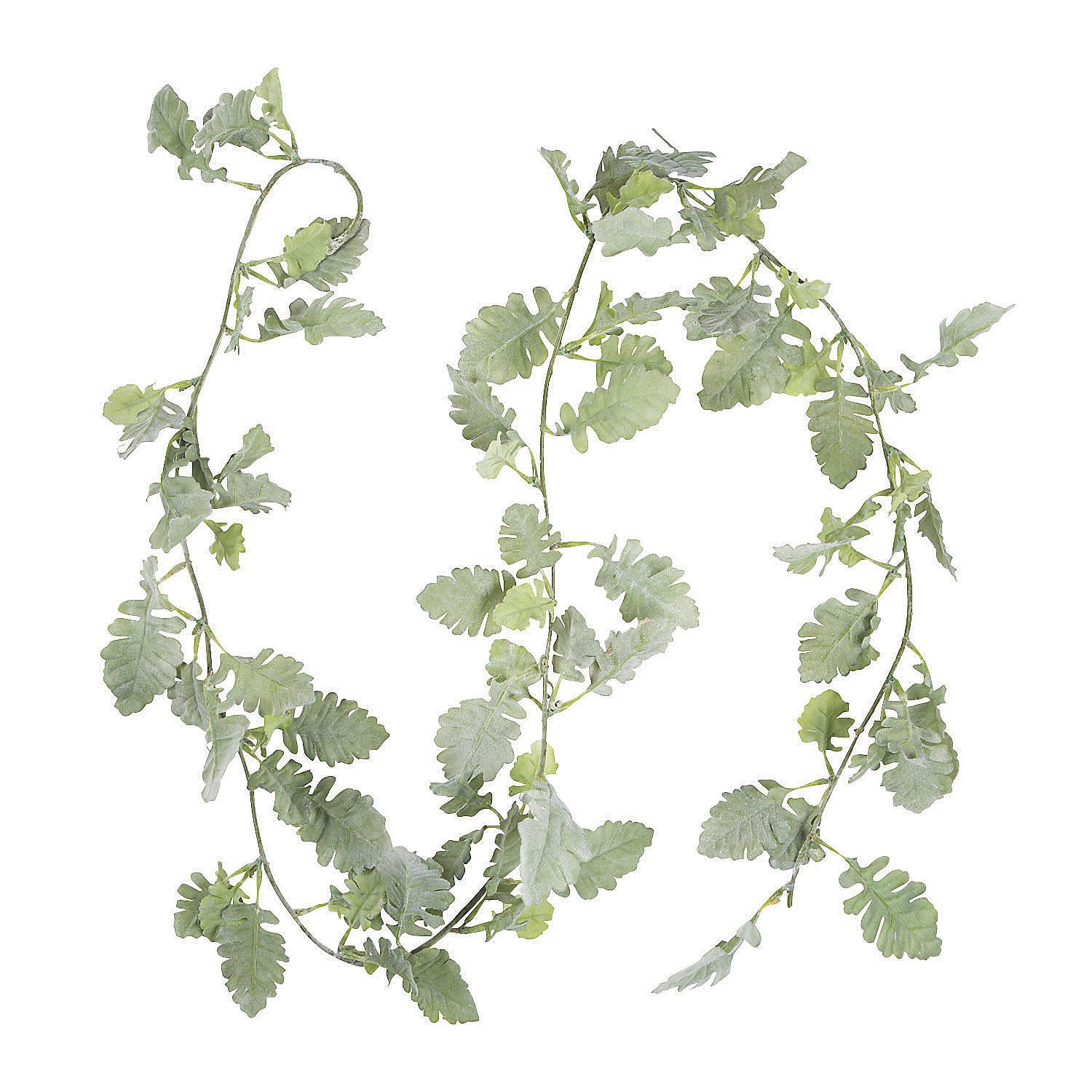 Primrue 6' Dusty Miller Garland | Wayfair