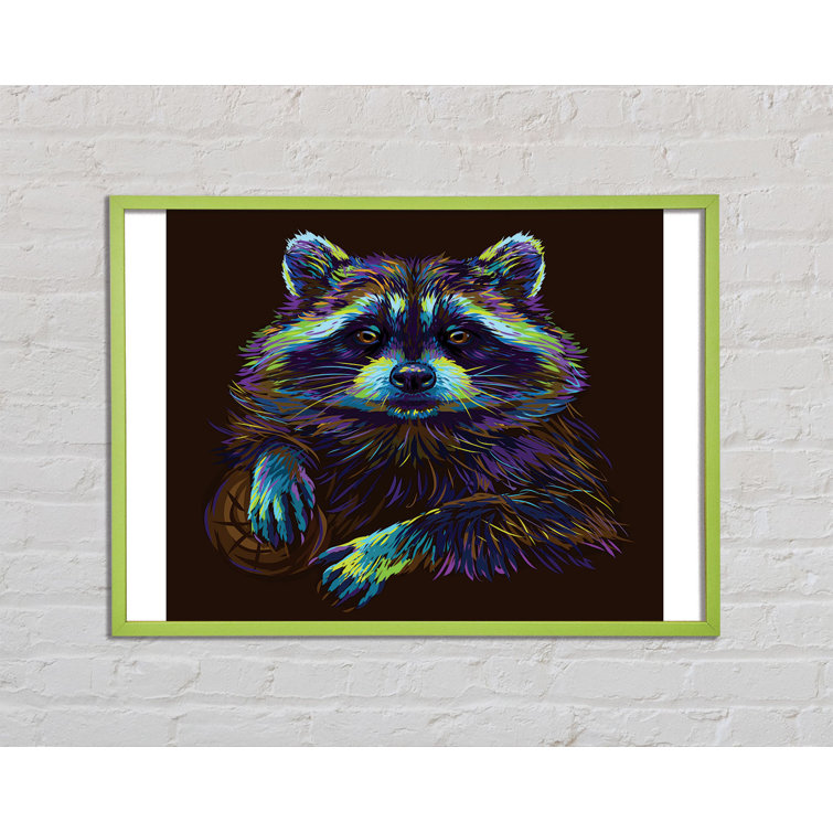 Latitude Vive Bojil The Cheeky Racoon - Single Picture Frame Art Prints ...