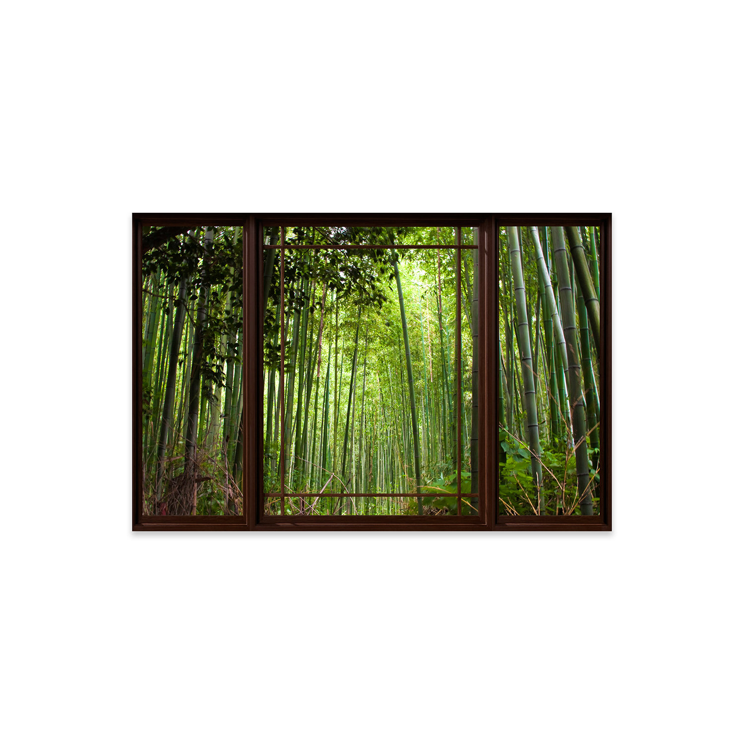 Millwood Pines Bamboo Forest Window View - No Frame Print | Wayfair