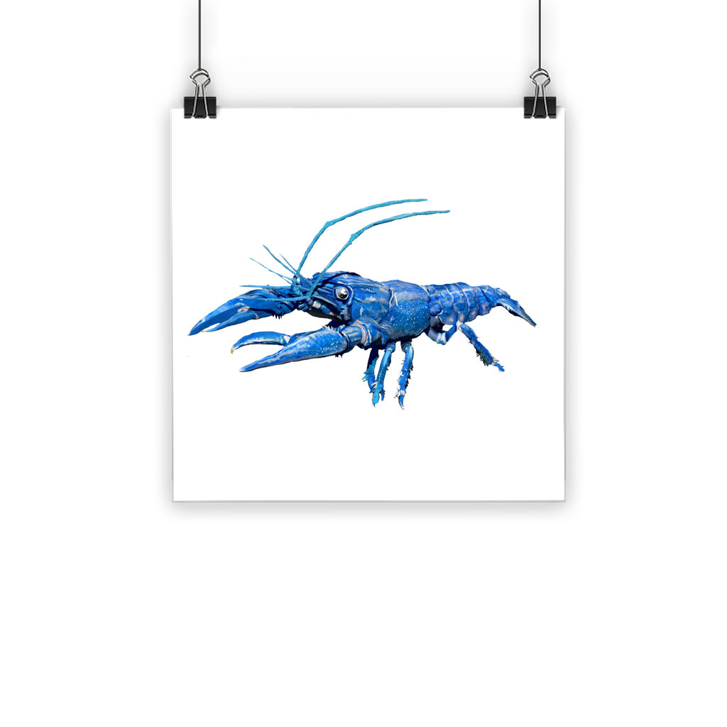 Highland Dunes Blue Crawfish - Unframed Graphic Art | Wayfair