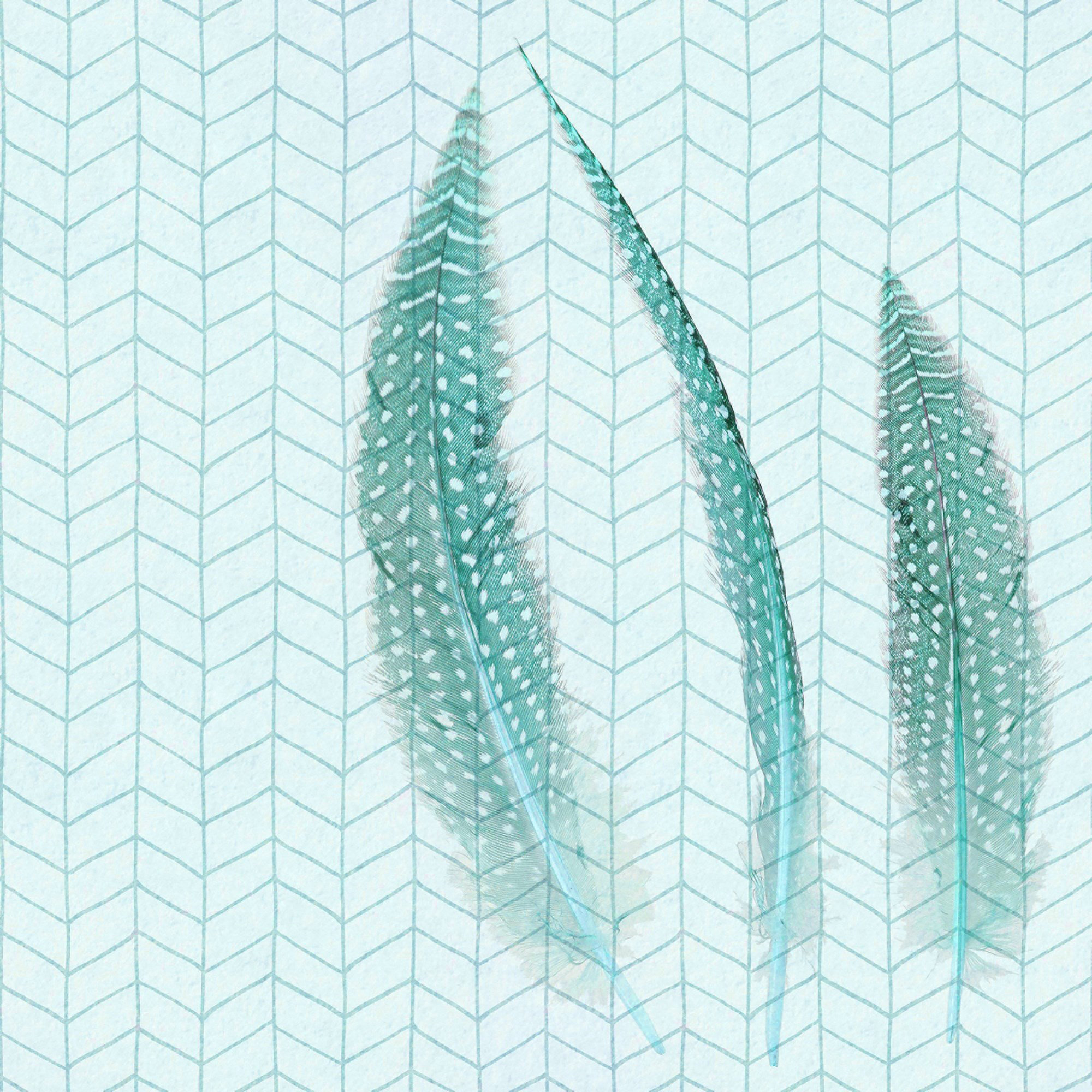 Marmont Hill 'Feather Pat' Painting Print on Wrapped Canvas - Wayfair ...